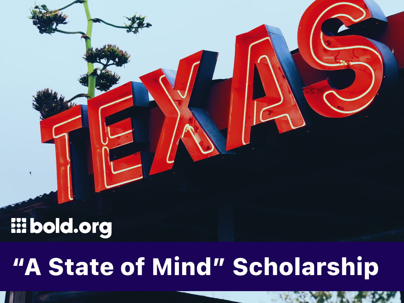 "A State of Mind" Texas Scholarship | Bold.org