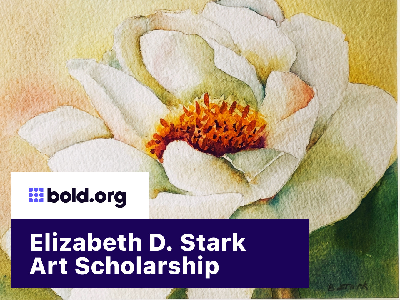 Top 30 Scholarships for Drawing to Apply for in November 2025 | Bold.org