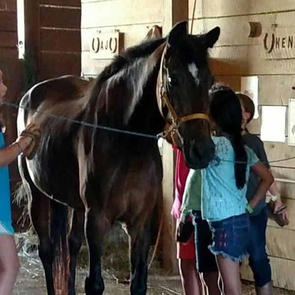 Cathy Thacker Donor Profile | Bold.org