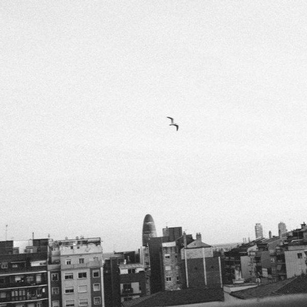 Pablo Aznar Donor Profile | Bold.org