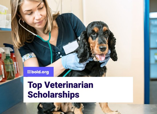 Top 15 Veterinarian Scholarships to Apply for in February 2025 | Bold.org